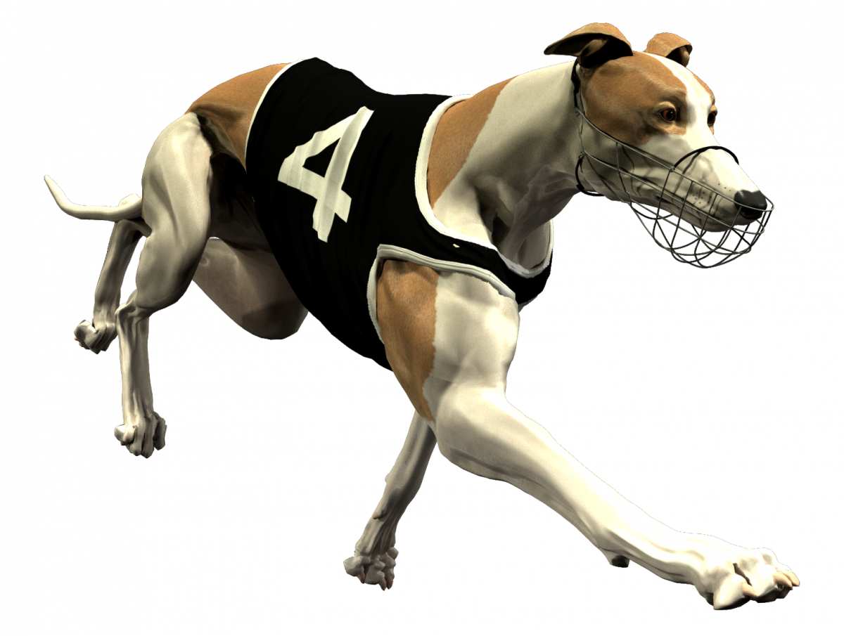 V-Play Greyhounds 2 | Inspired Entertainment